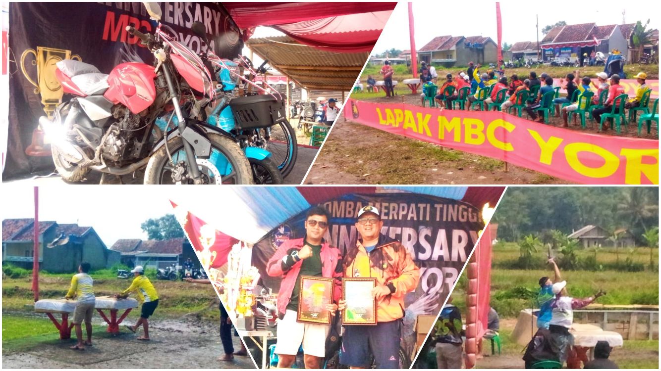 Meriah!! Lapang MBC Yora Gelar Lomba Merpati Tinggian Sekaligus ...
